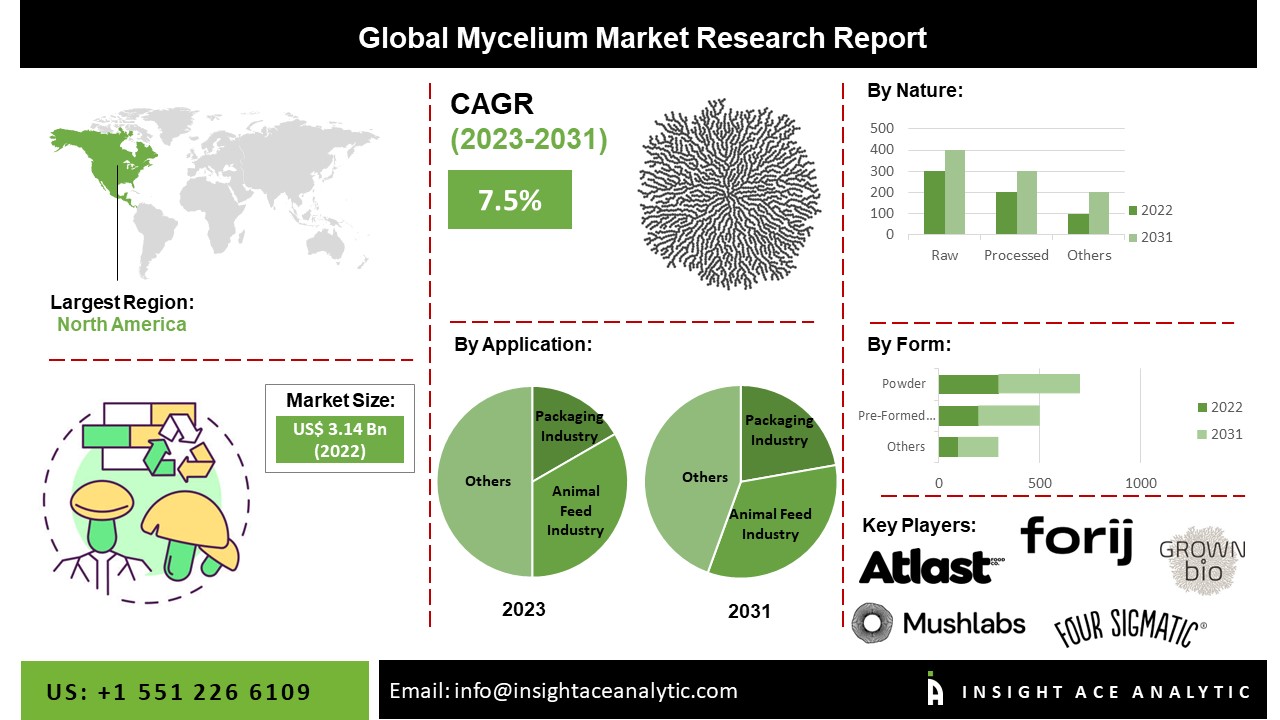 Mycelium Market Scope Deep Study 2024