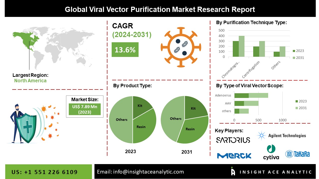 Viral Vector Purification Market Share, Size, Growth and Forecast to 2031