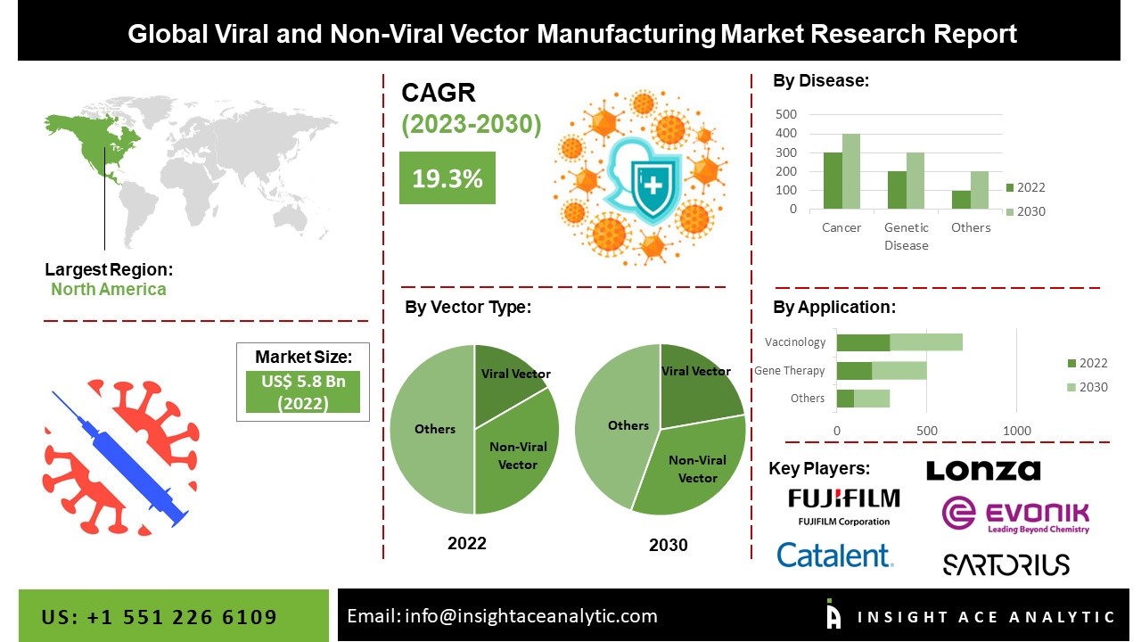Viral and Non-Viral Vector Manufacturing Market Share, Size, Growth and ...