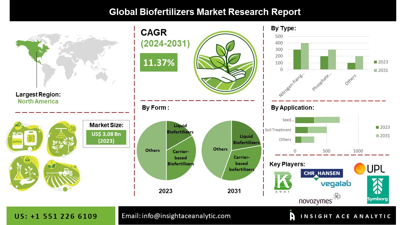 Biofertilizers Market Size, Growth, Trends and Future Scope Report to 2031